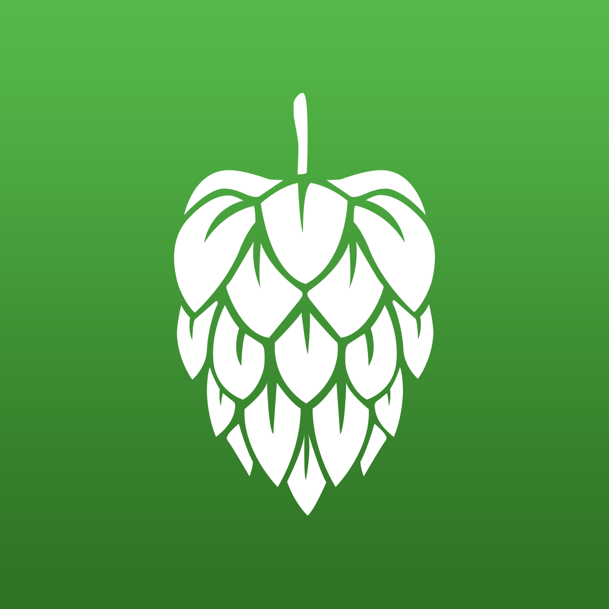 Our Beers Folkingebrew Groningen